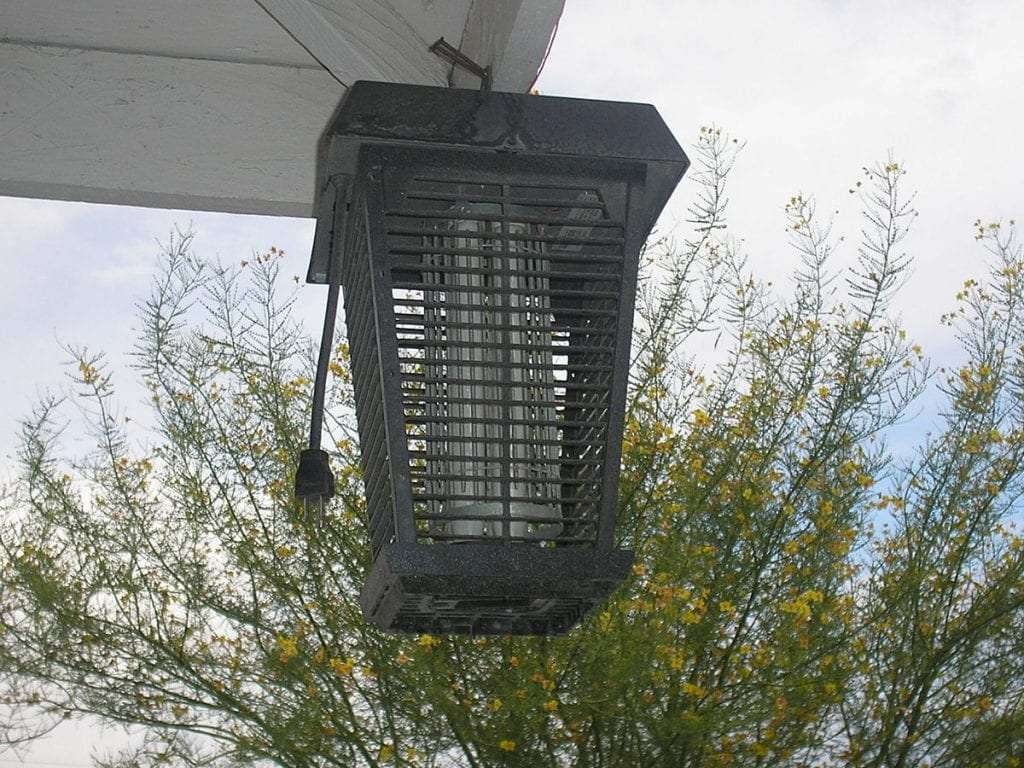 When Mosquito Corpses “Burn” Your Bug Zapper: Why Deep Cleaning Matter