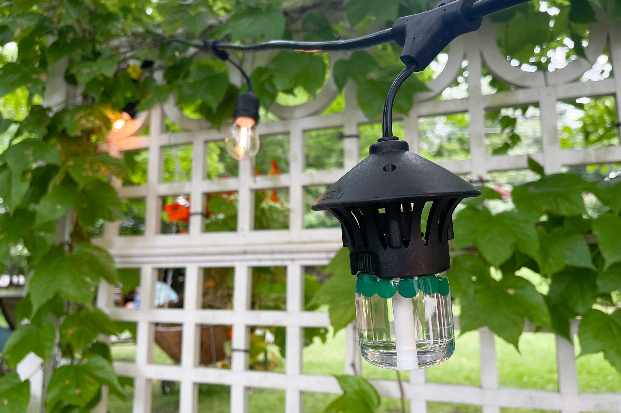 ‌The Ultimate Guide to Outdoor Mosquito Repellent Methods‌