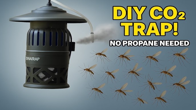 Boost Your Mosquito Trap’s Efficiency by 300%: The Ultimate Guide to P