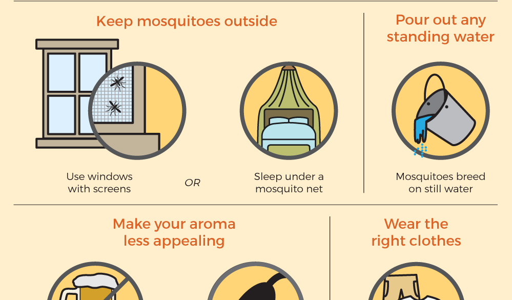 Guide to Mosquito-Proofing Your Home: Science-Backed Strategies for a