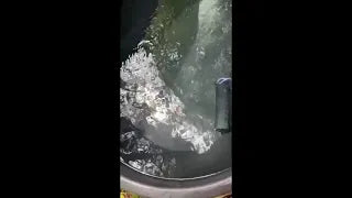 Water trough for cold plunge 110gal