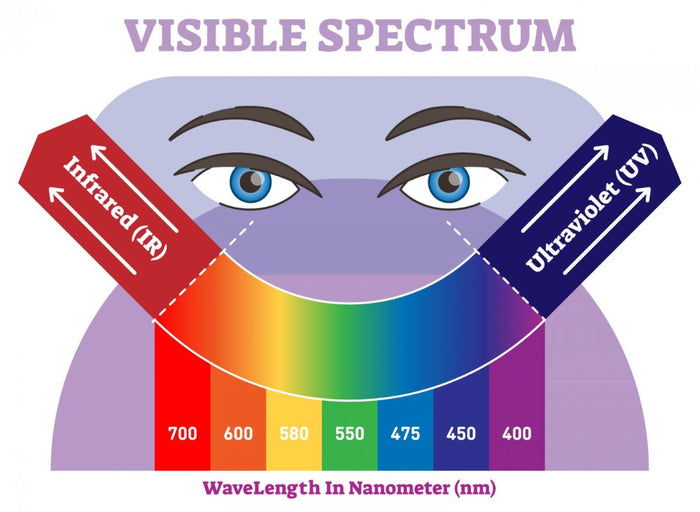 ‌Ultraviolet vs. Infrared: Two Sides of the Light Spectrum Shaping Our