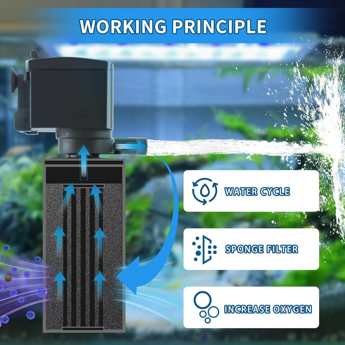 Best Aquarium Pumps & Filters