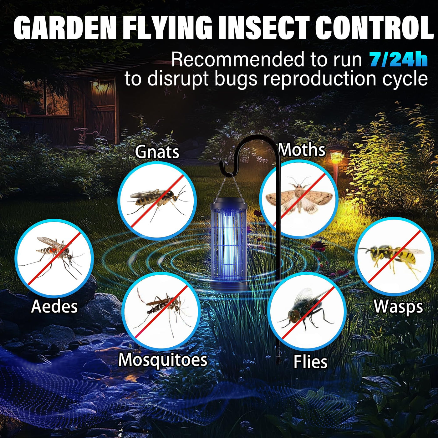 ‌Ultraviolet vs. Infrared: Two Sides of the Light Spectrum Shaping Our