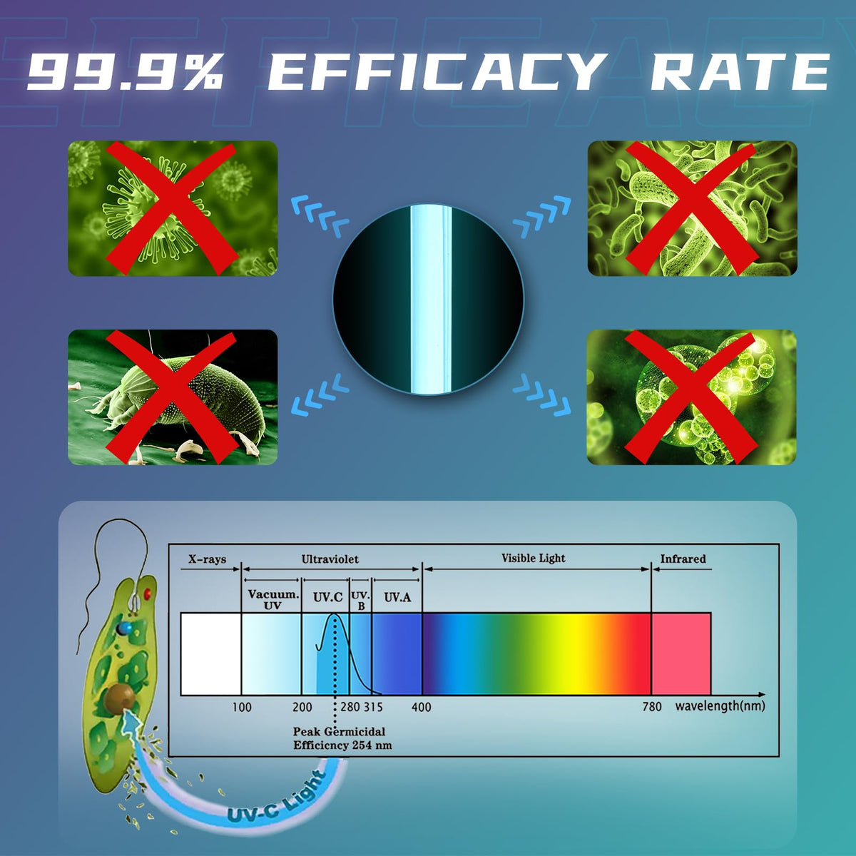 Coospider - Focus on Clean and Health